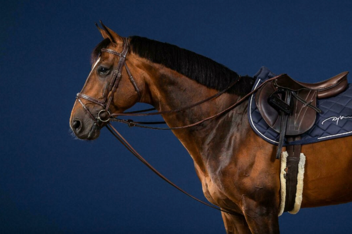 DYON US COLLECTION 1/2 DRAW REINS – Riders Boutique