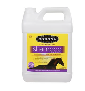 CORONA SHAMPOO GALLON – Riders Boutique