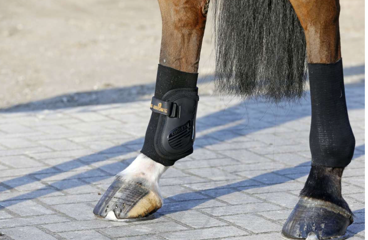 KENTUCKY GEL BANDS – Riders Boutique